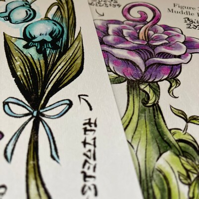 Hyrule Compendium Breath of the Wild Tears of the Kingdom Botanical ...