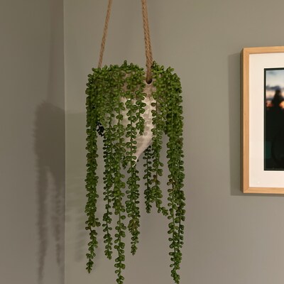 Fiveseasonstuff Artificial Faux String of Pearls Succulent Hanging ...