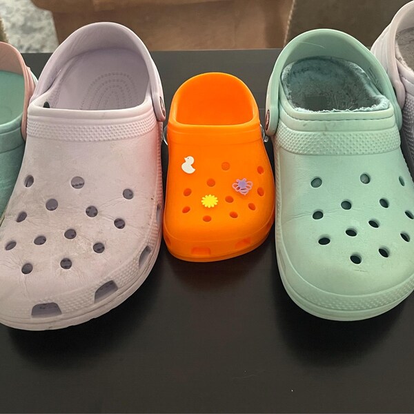 Pink Princess Philodendron Ledge for 0.5oz Deli Cup | Crested Gecko ...