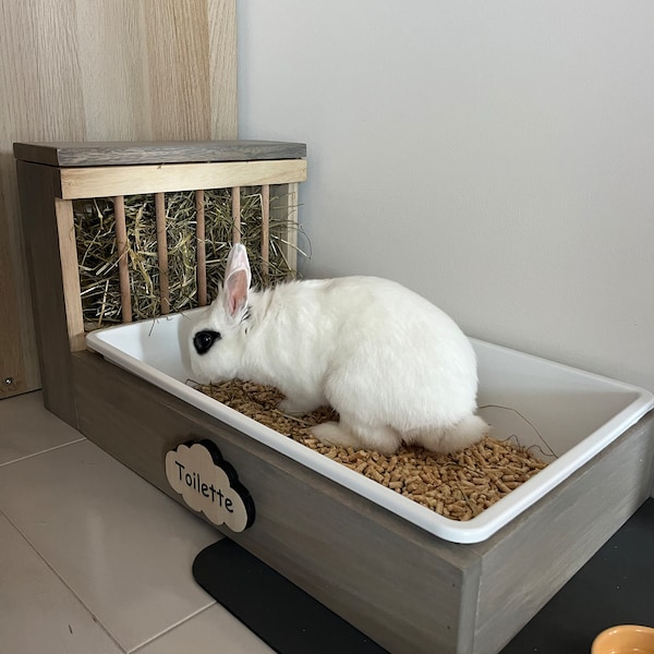 Large Hay Feeder and Litter Box for Flanders Rabbit. Giant Rabbit ...