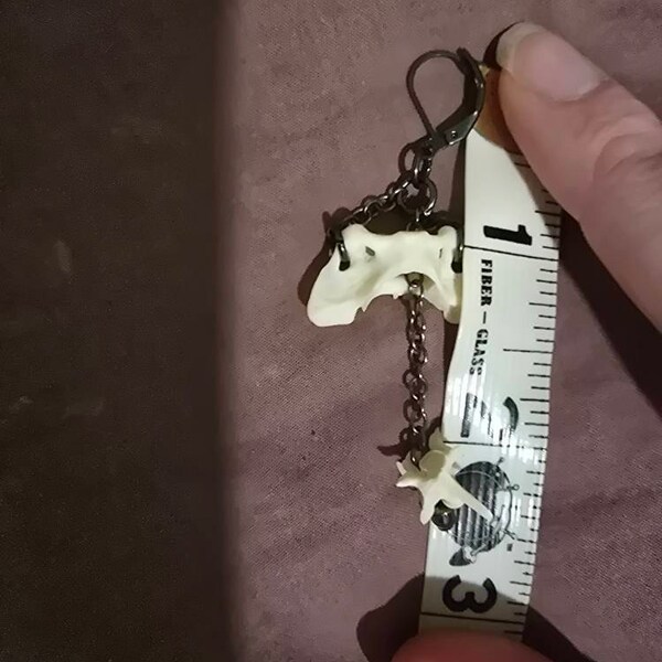 Bone Necklace, Gothic Necklace, Coyote Necklace, Macabre, Bone Jewelry ...