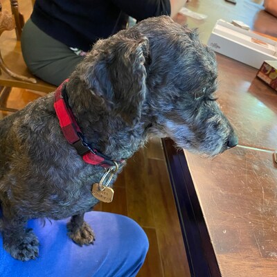 Recycled Key Dog Tag Personalized Pet ID Tag for Your Dog or Cat ...