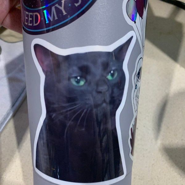 Dissociating Sticker, Zoning Out Black Cat Meme, Dissociative Sticker ...