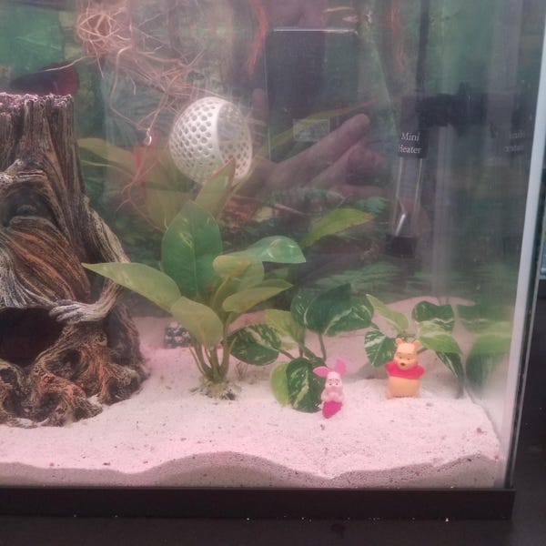 Lilo and Stitch Aquarium Decor - Etsy