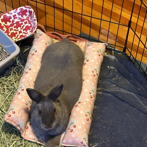 Bunny Snug Bed - Etsy