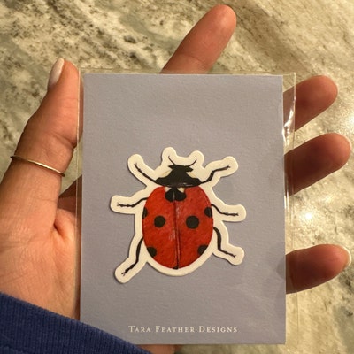 Identity in Christ Scripture Cards Watercolor Scripture Cards ...