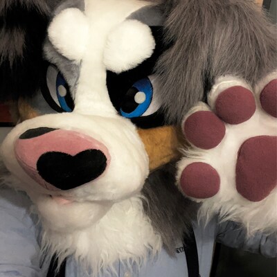 Fennec Fox Fursuit Partial, Fox Fursuit Head, Premade Fursuit - Etsy