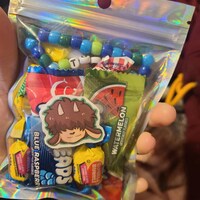 LGBTQ Pride Kandi Sticker and Candy DSMP Bag - Etsy Canada