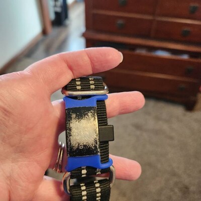 Engraved Dog Tag Personalized Dog Tag,slide on Dog Tag,silicone Dog Tag ...