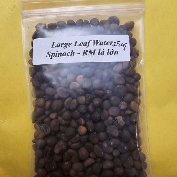 Sorrel Seeds - Rumex Acetosa - Large Leaf - Rau Chua - Etsy