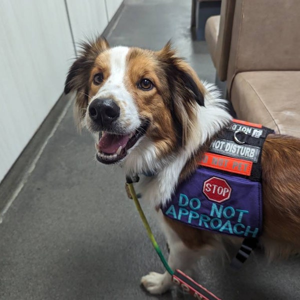 Vest (select Your Size), STOP Do Not Approach, Light Weight Sd Style ...