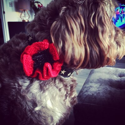 Red Poppies Poem - Etsy Canada