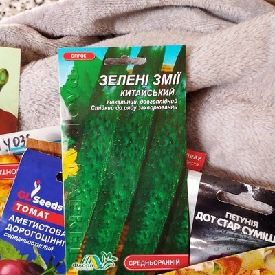 Melon Seeds Ukraine Heirloom Vegetable Seeds Ineya 166 - Etsy