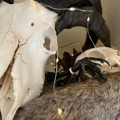 One Pair 2 Crow Feet Foot Talon Claws Taxidermy Fetish Curio Bones Art ...