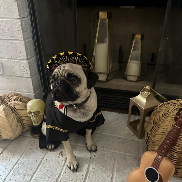 Mariachi Dog Costume/ Mariachi Outfit for Dogs/ Mexican Dog Costume ...