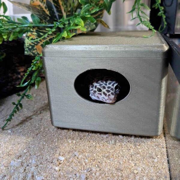 Leopard Gecko Hide, Moist Hide Lay Box, and Feeding Station - Etsy