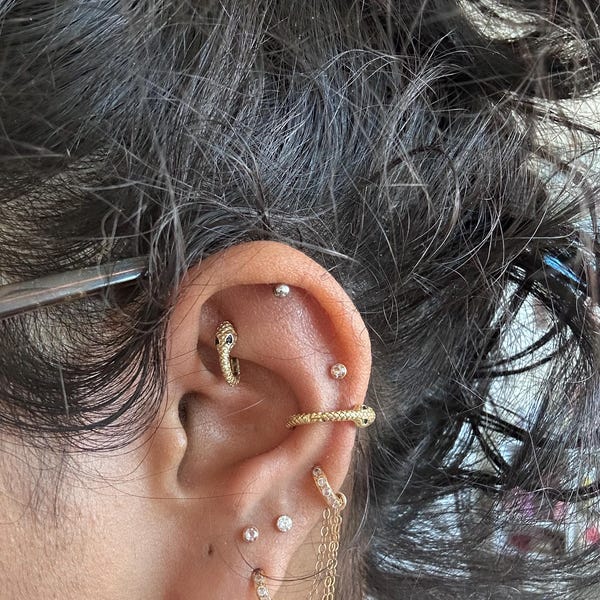Snake Rook Piercing, Gold Rook Earring, Small Rook Jewelry, Snake Earrings, Rook Piercing ...