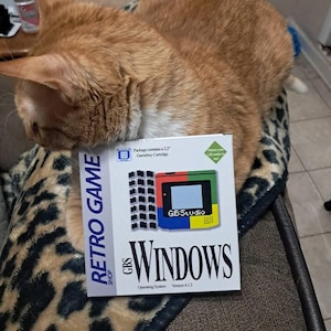 GBS WINDOWS for Game Boy (developed by Ruben Retro) - Etsy