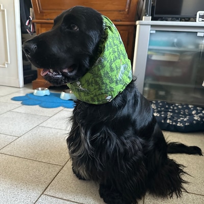 Waterproof Thick Dog Snood , Swimming Cap for Dog , Dog Hat for Snow - Etsy