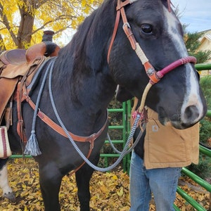Rope Halter & Mecates Natural Horsemanship Hackamore 21 - Etsy