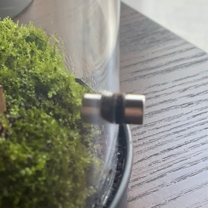 Island Oasis Terrarium With Live Plants - Etsy