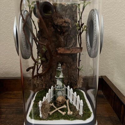 Made-to-order Large Jumping Spider Enclosure, Jumping Spider Decor ...