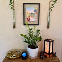 Florida Doodle - Etsy UK