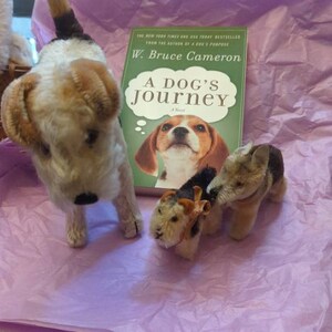 Antique German Mohair Hunchback Fully Jointed Teddy Bear - Etsy