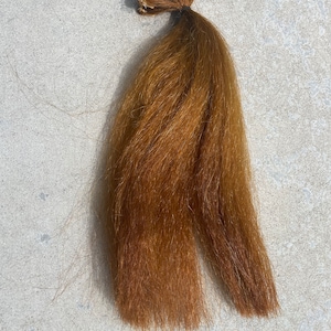 Design Your Own Mane Hair Extensions for Horses perfect for Parties ...