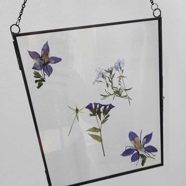 Set of 2 Double Glass Frame for Pressed Flowers, Photos and Artwork ...