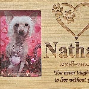 Custom Duck Goose Memorial Stone, Pet Tombstone for Duck Goose, Duck ...