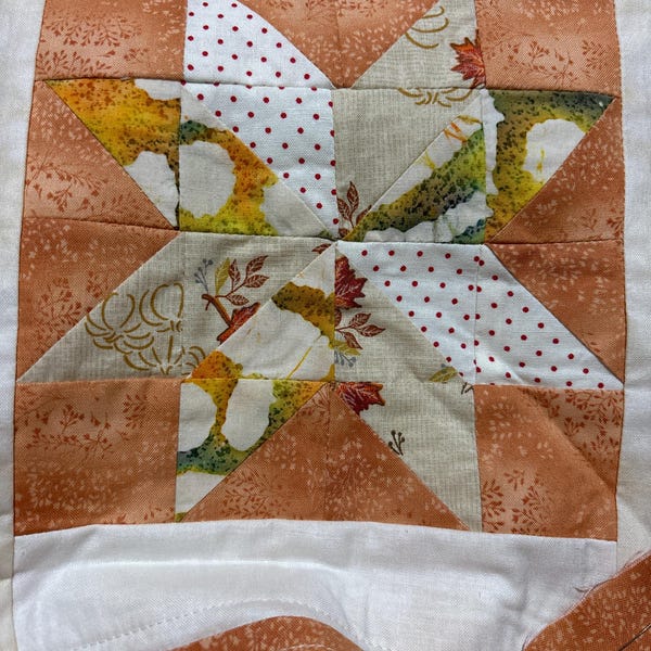 7th Star Block From the Star Quilt 2024, 4 at a Time Star Block, 12 ...