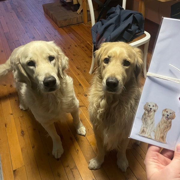 DOG Notepaper Set - Set of 20 - Dog Stationery - Choose Your Dog Breed ...