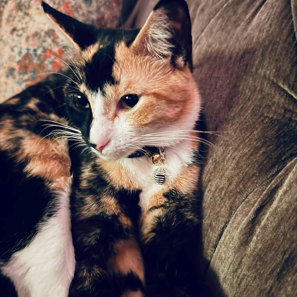 Deity Mystery Boxes, Handcrafted Metaphysical Items, Curated God or ...