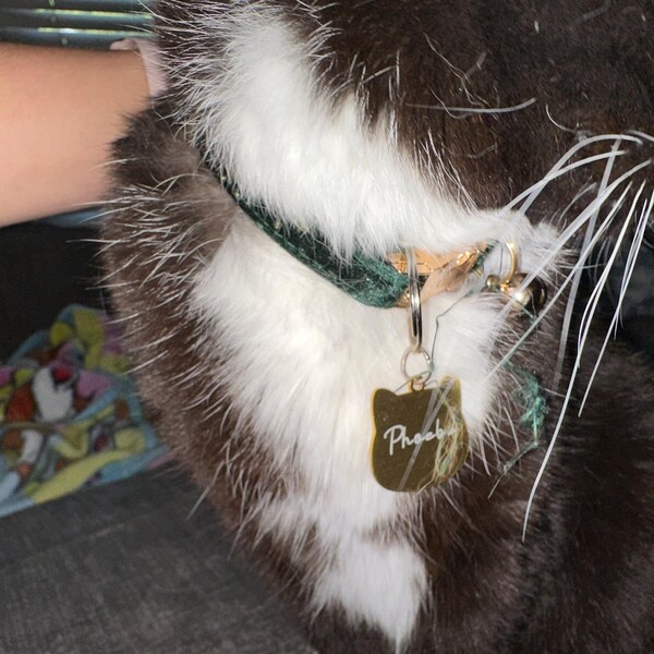 Blue Plaid Personalised Dog Harness, Handmade Harness Collar and Leash ...