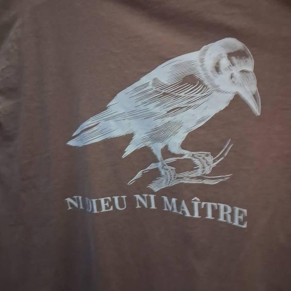 El Toro Png, El Toro Valenzuela Png Digital Print PNG, Fernondomania ...