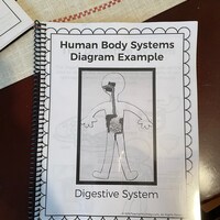 Lower and Upper Grades Volcano Research Unit (print Version) - Etsy Canada