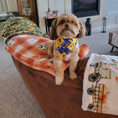 Small 9x12 Snuffle Mat Rooting Rug Canine Pet Dog Pig Rabbit - Etsy