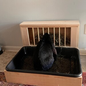 Rabbit Bunny Bowl Feeding Stand - Etsy