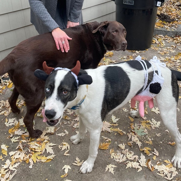 Udderly Adorable Cow Udder Dog Costume! Horn “hat” Also Available ...