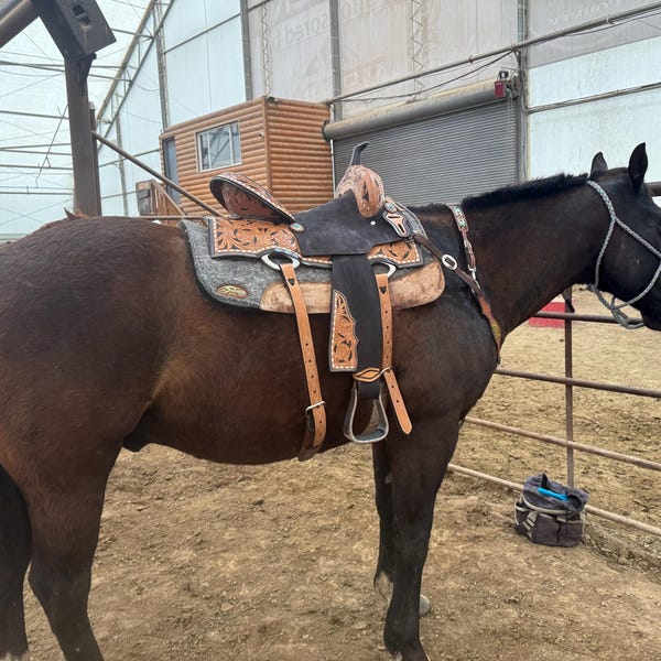 Western Barrel Racing Horse Saddle With Matching Tack Set (head Stall ...