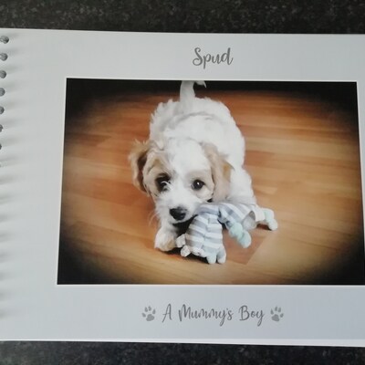 Personalised Dog Album, Dog Photo Book, Dog Gift, Pet Gift, Dog Photo ...
