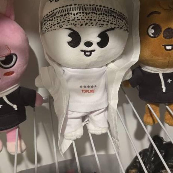 Skzoo Hoodie Set, Stray Kids Plushies, Skzoo Outfits, Skzoo Clothes ...