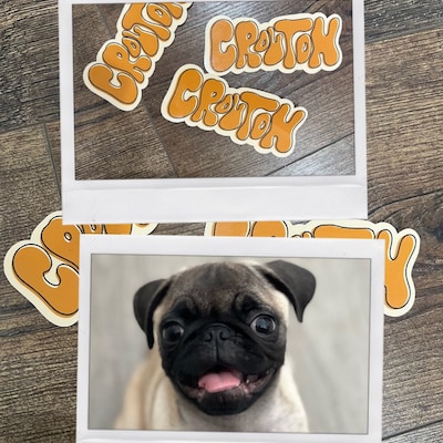 Color Wheel Procreate Color Palette, Bright Rainbow Color Palette, Neon ...