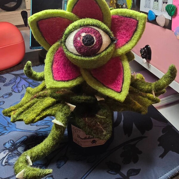 Venus Flytrap Plant, Cute or Scary Gift, Carnivorous Plant, Creepy ...