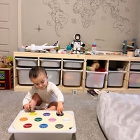 Large Double Sided Flisat Colour Sorting & Counting Insert, Flisat ...