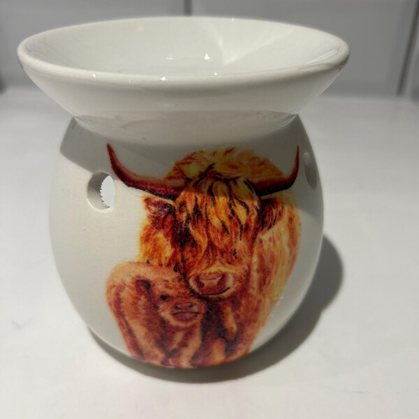 Fantasy Book Shelf Corner Decoration Dragon Baby Dragon - Spice up Your ...