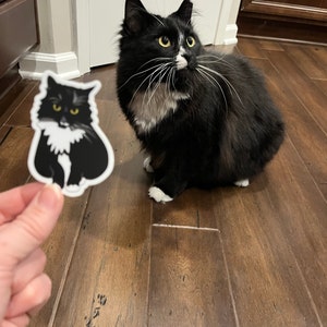 Tuxedo Cat Sticker - Etsy
