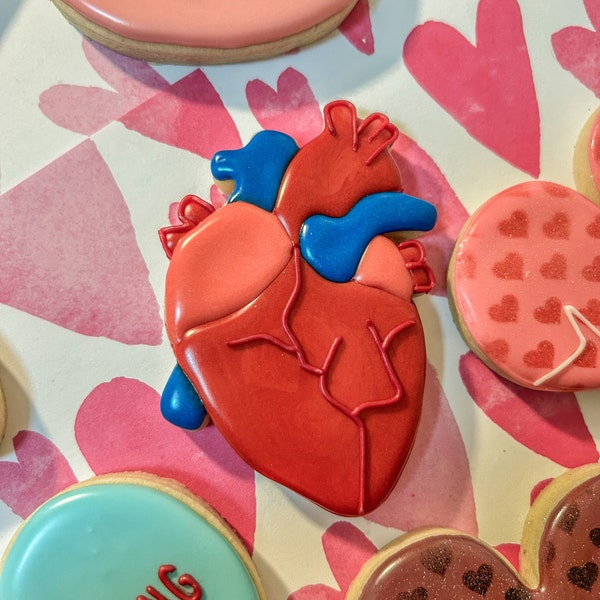 Human Heart Cookie Cutter - Etsy