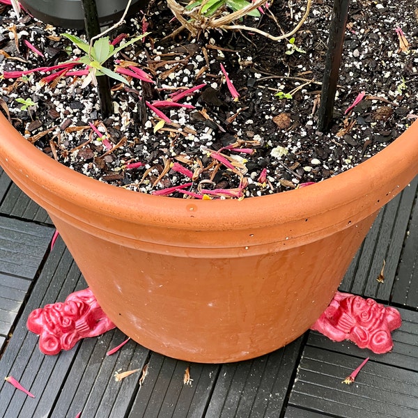 Gargoyle Planter Feet, Pot Feet, Gargoyle, Yard Art, Patio Decor ...